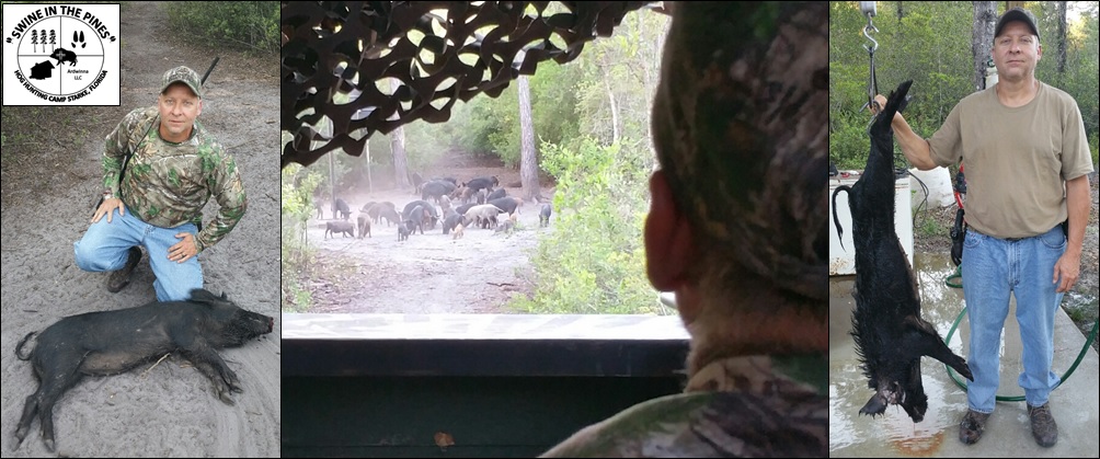 Swine in the Pines - Client Photos