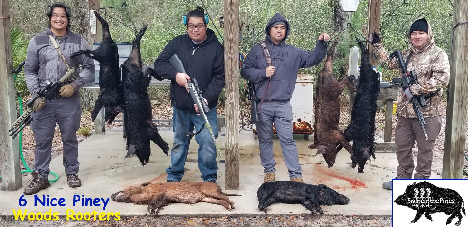 Swine in the Pines - Client Photos