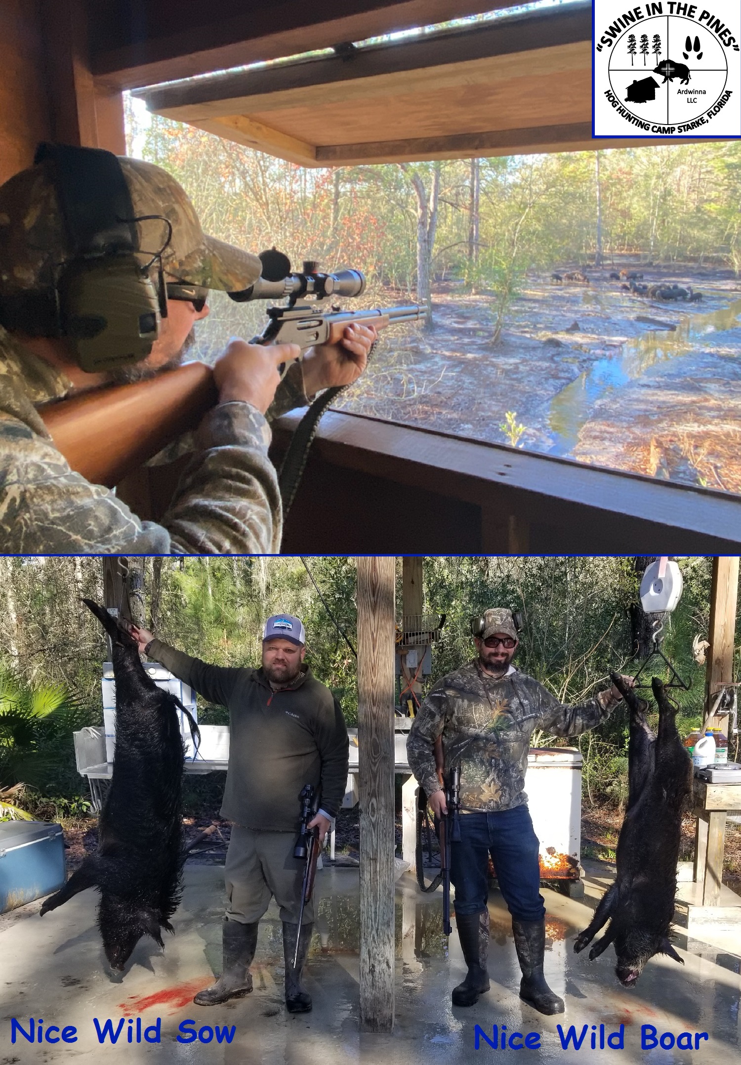 Swine in the Pines - Client Photos