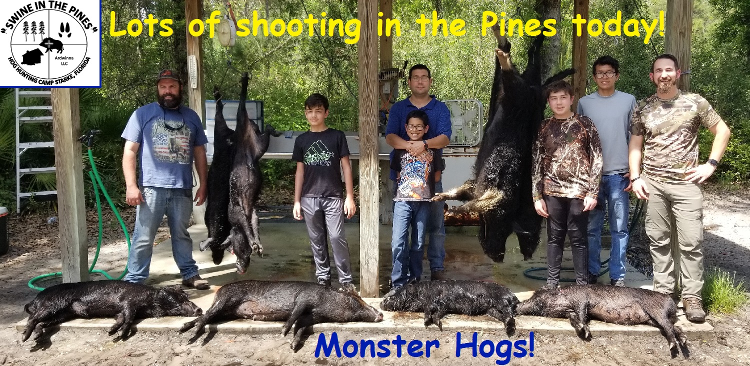Swine in the Pines - Client Photos