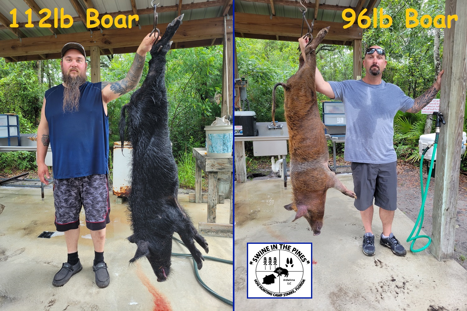 Swine in the Pines - Client Photos