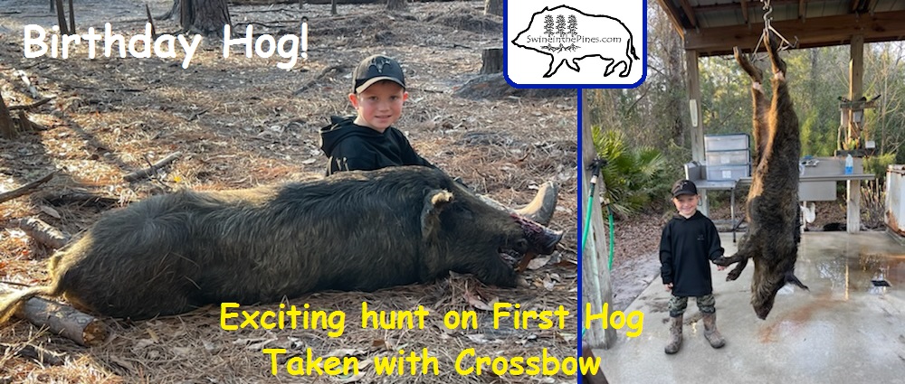 Swine in the Pines - Client Photos