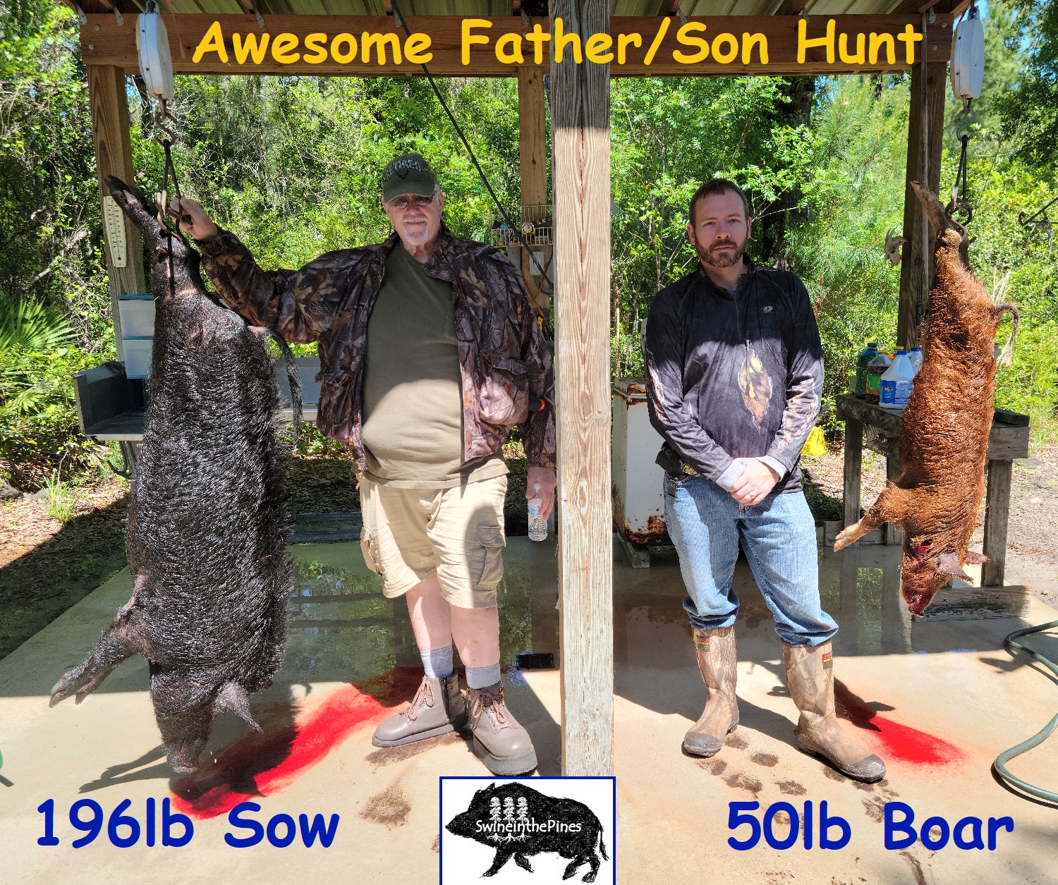 Swine in the Pines - Client Photos