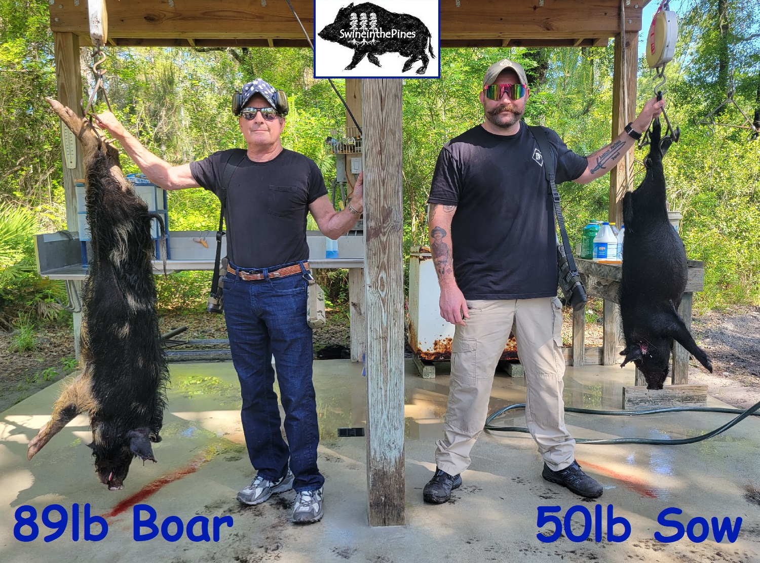 Swine in the Pines - Client Photos