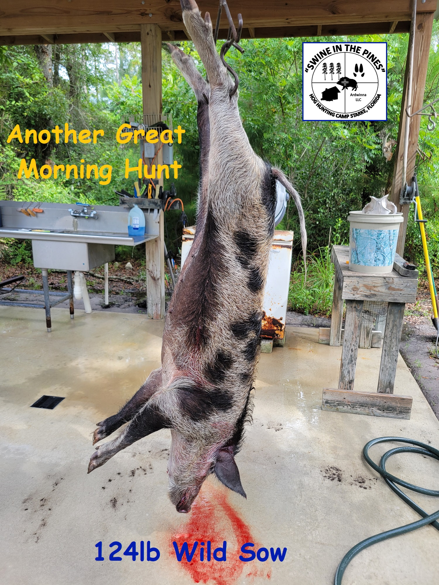 Swine in the Pines - Client Photos