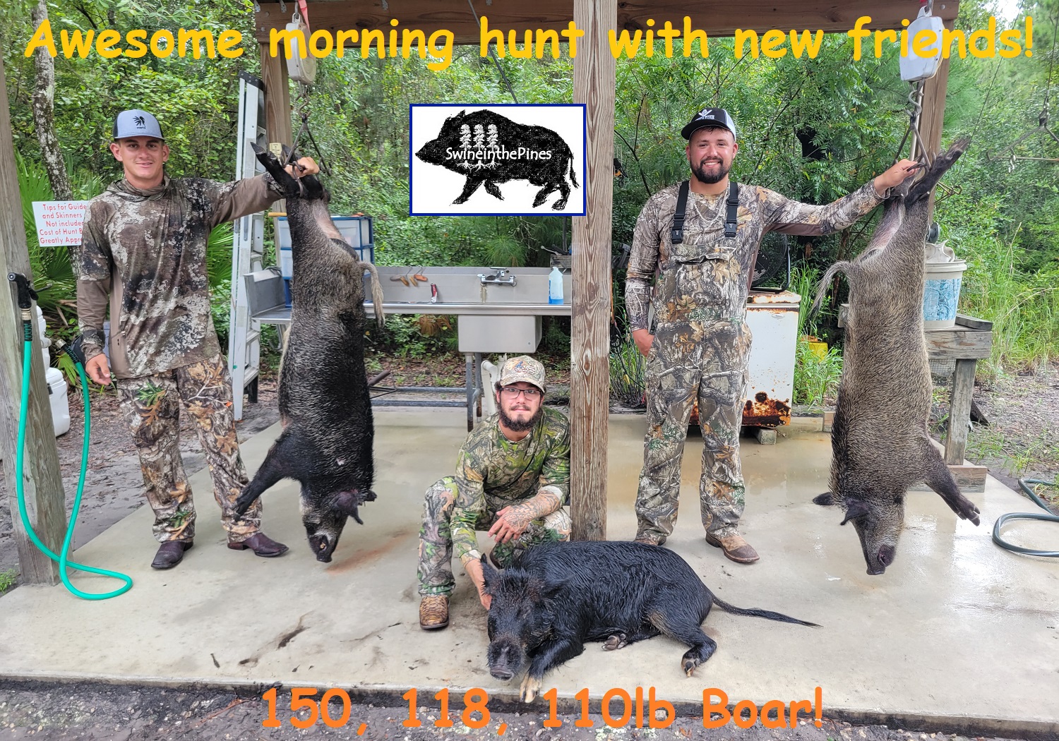 Swine in the Pines - Client Photos