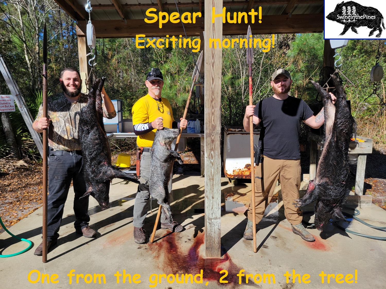 Swine in the Pines - Client Photos